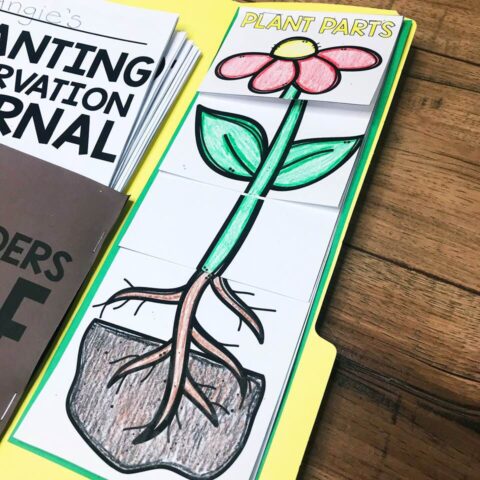 Seeds and Planting - Lucky Little Learners