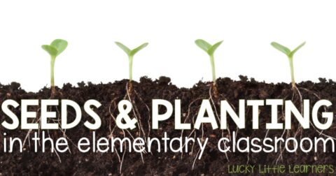 Seeds and Planting - Lucky Little Learners