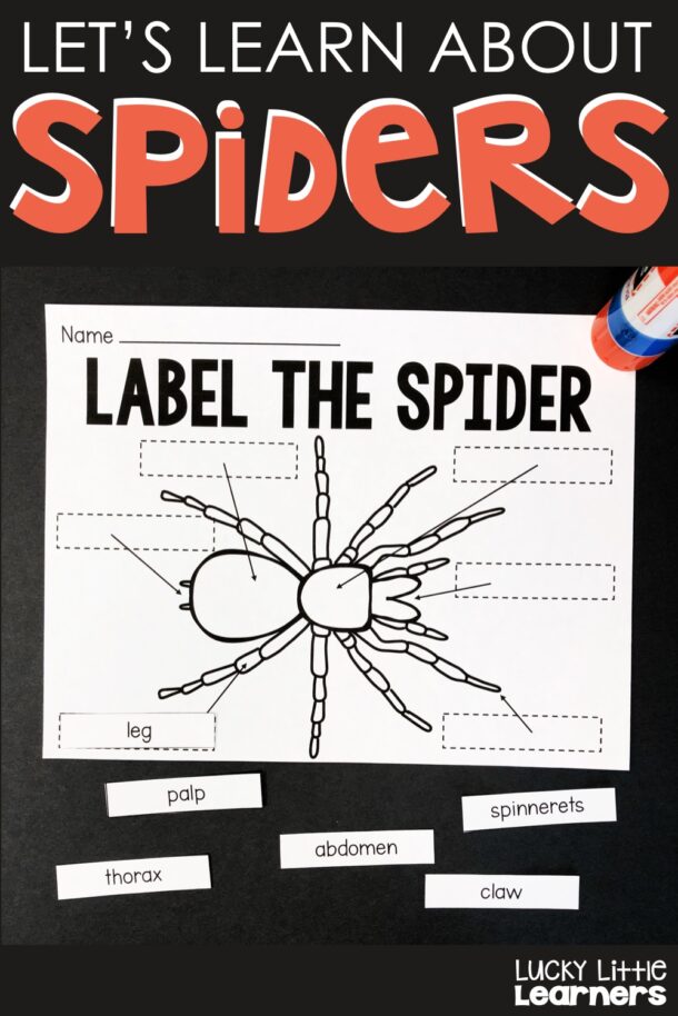 Halloween Ideas for the Classroom - Lucky Little Learners