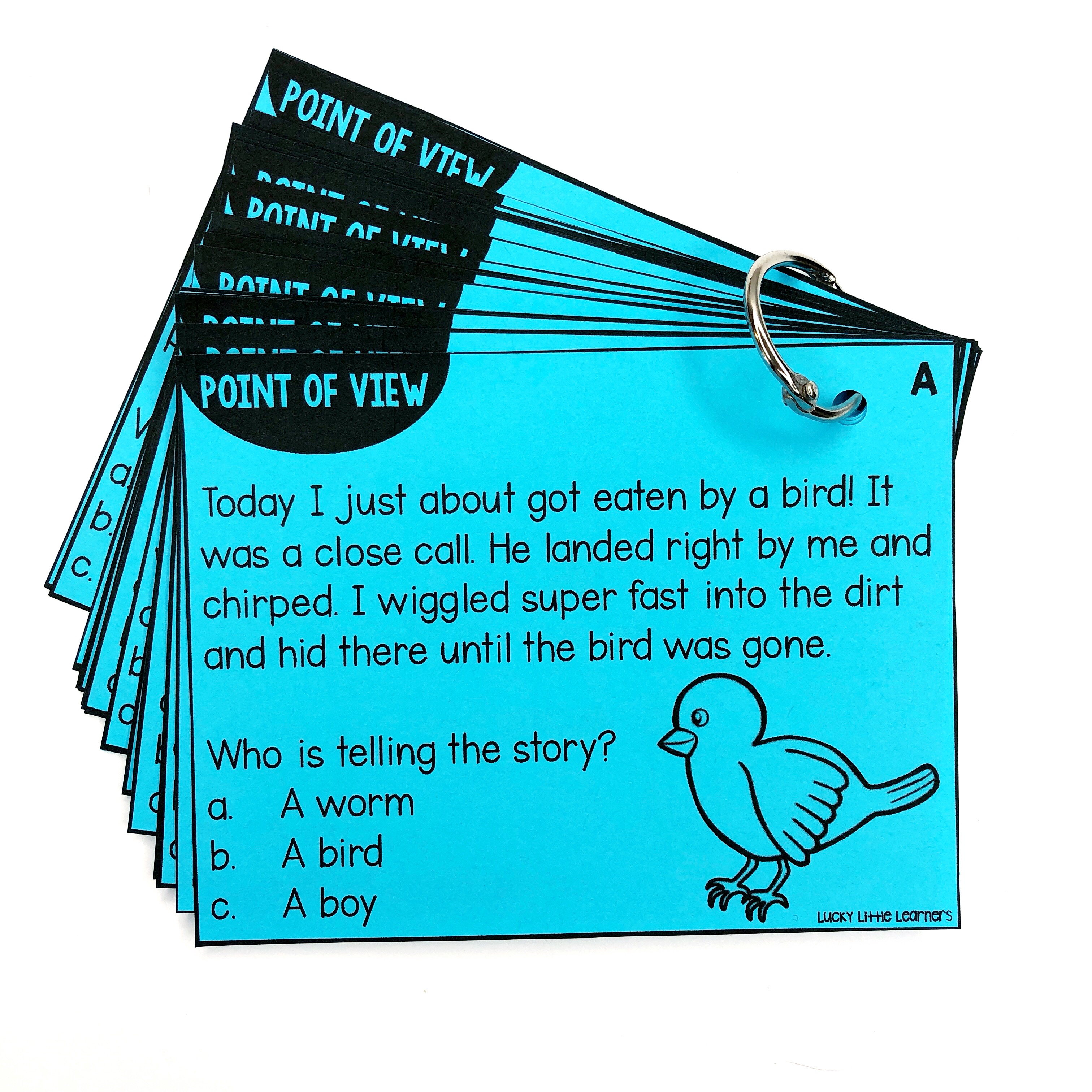 Tips For Teaching Point of View - Lucky Little Learners