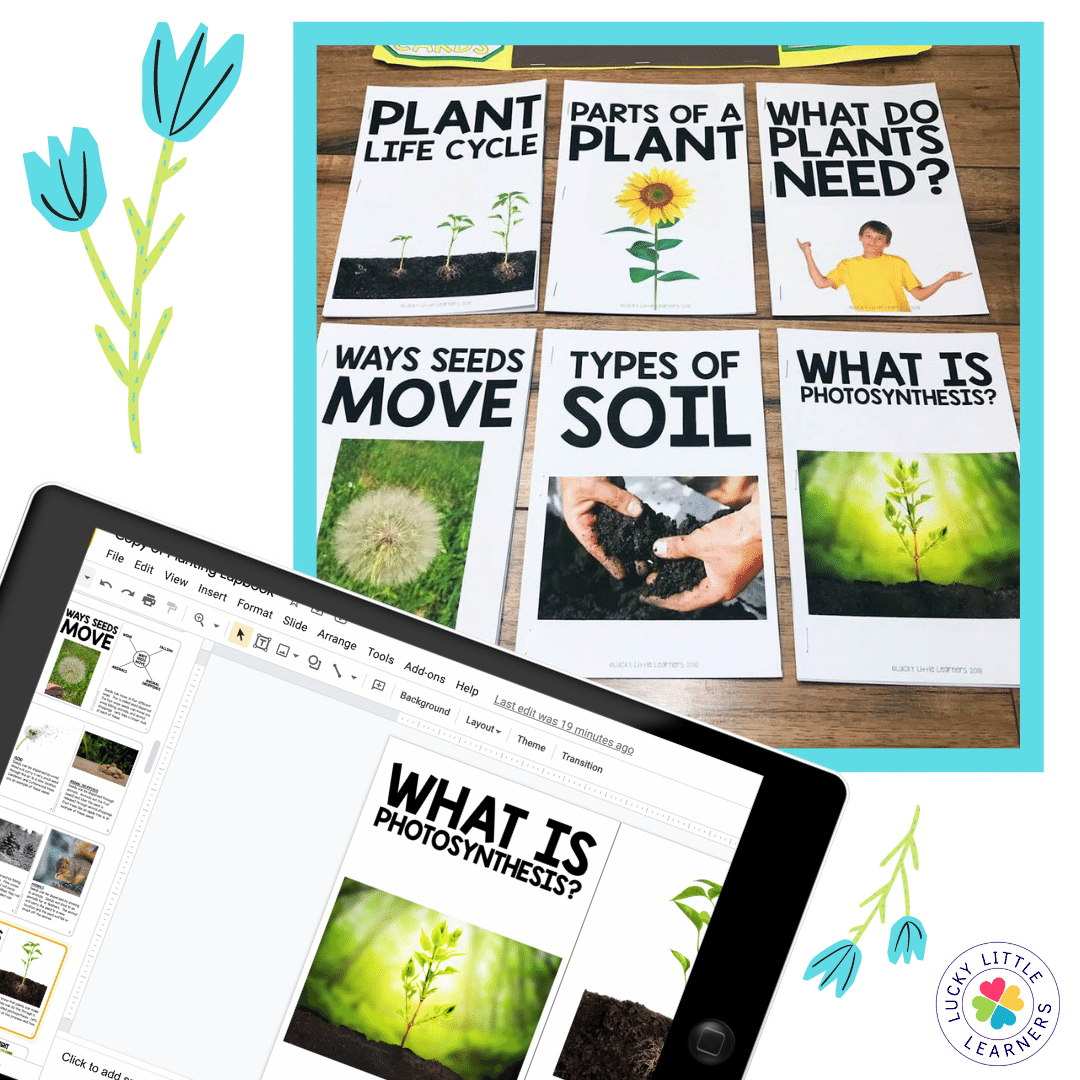 Seeds and Planting - Lucky Little Learners