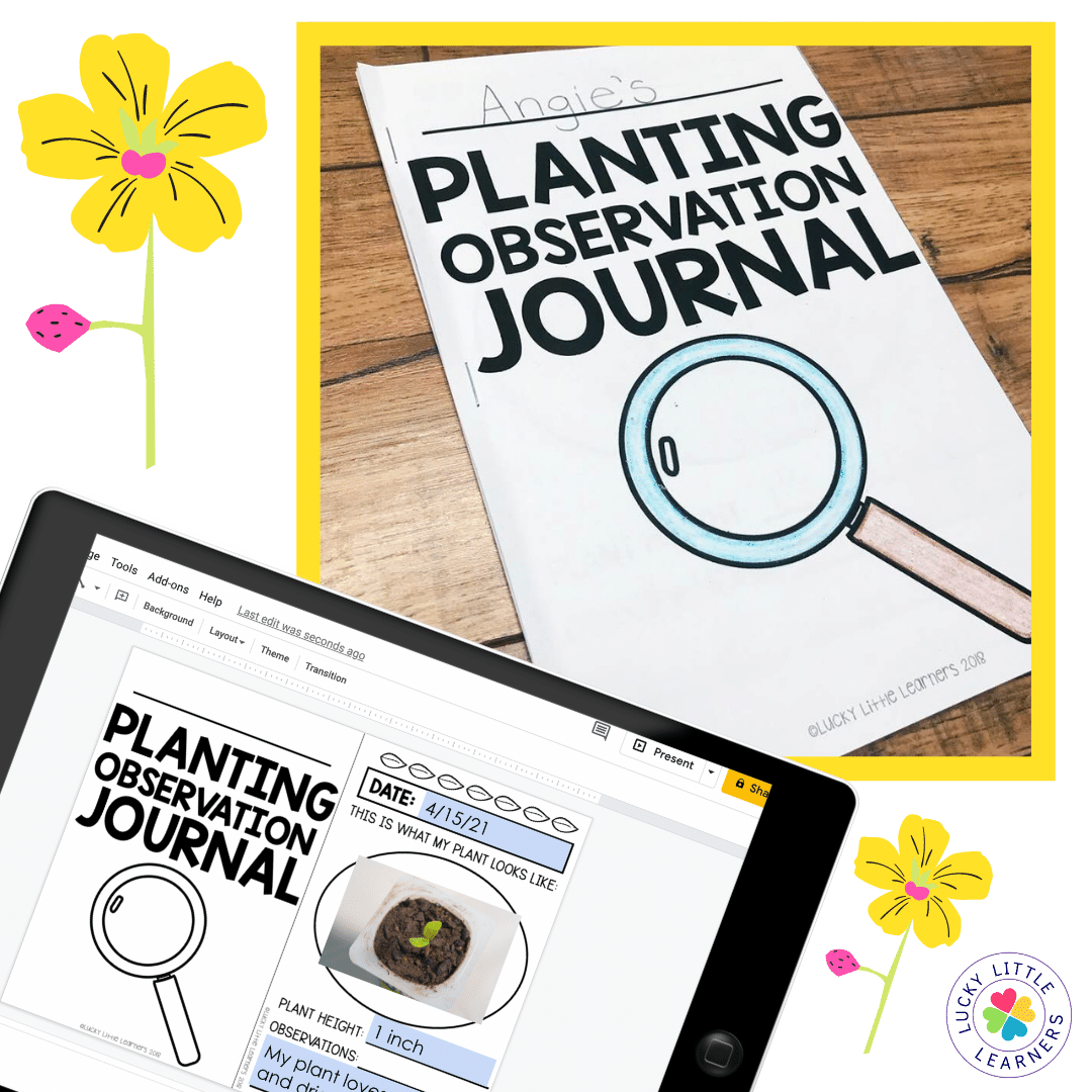 Seeds and Planting - Lucky Little Learners