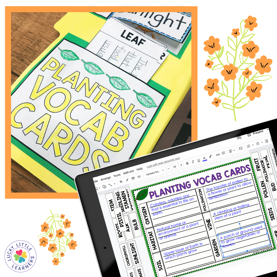 Seeds and Planting - Lucky Little Learners