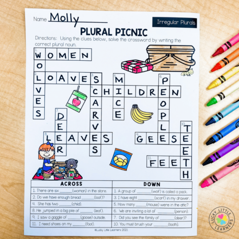 Keep Your Speedy Students Learning With Early Finisher Packets - Lucky ...