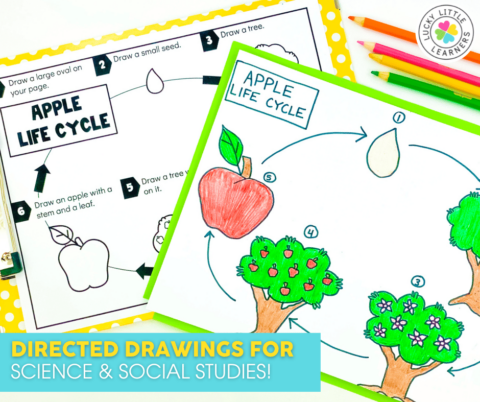 How to Use Directed Drawings in the Classroom - Lucky Little Learners