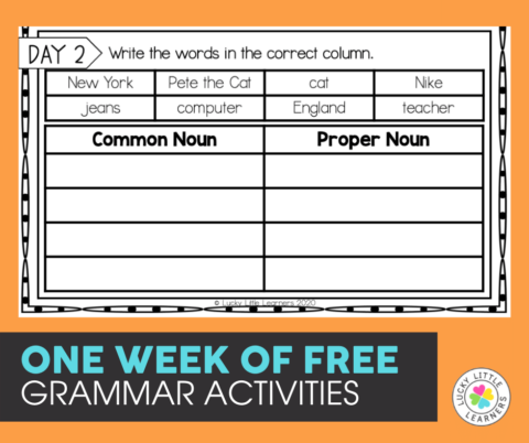 Daily Grammar Practice Freebie - Lucky Little Learners