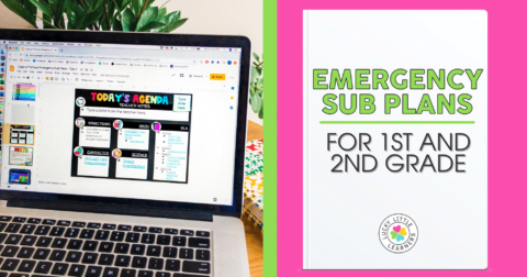 Emergency Sub Plans for 1st and 2nd Grade - Lucky Little Learners