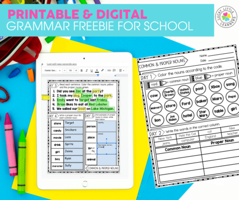 Daily Grammar Practice Freebie - Lucky Little Learners