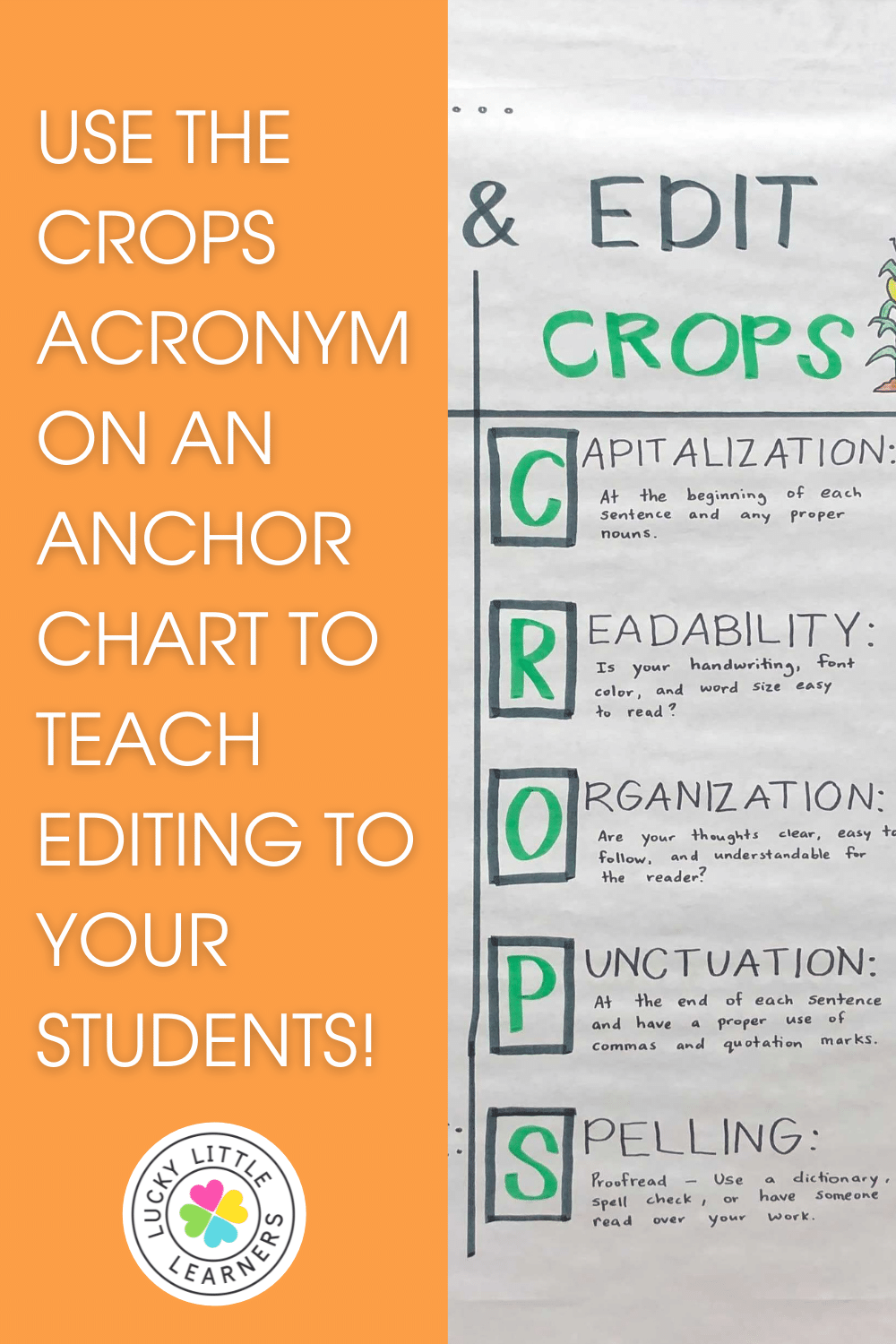 How to Teach Editing and Revising - Lucky Little Learners