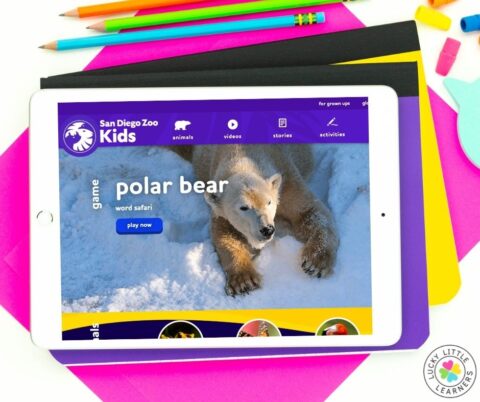 17 Amazing Virtual Field Trip Ideas - Lucky Little Learners