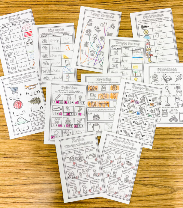 Student Data Tracking Booklets for Math & Literacy - Lucky Little Learners