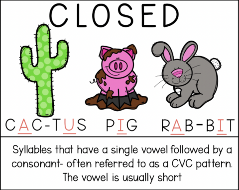 How to Introduce the 6 Syllable Types - Lucky Little Learners