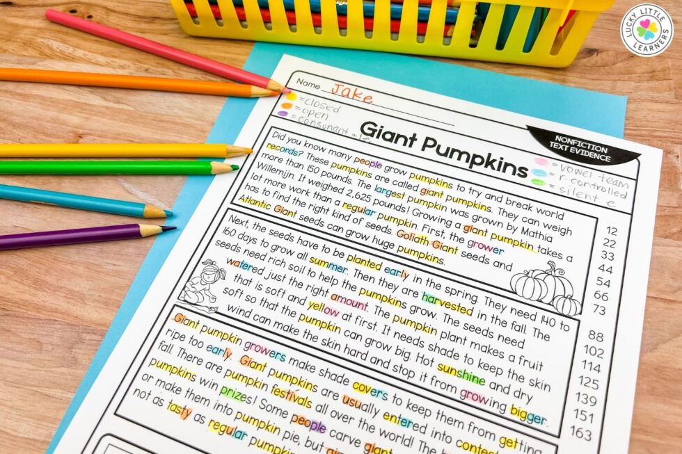 Decoding Multisyllabic Words in 2nd Grade Text - Lucky Little Learners