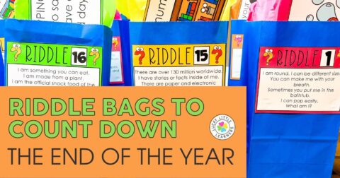 Riddle Bags to Count Down the End of the Year - Lucky Little Learners