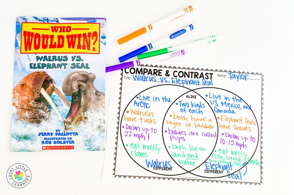 All About 2nd Grade Reading Comprehension - Lucky Little Learners