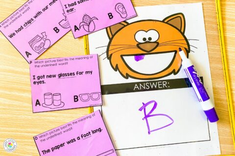 Multiple Ways to Teach Multiple Meaning Words in 2nd Grade - Lucky ...