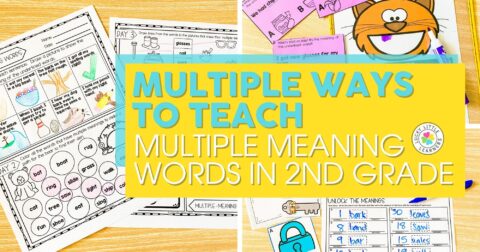 Multiple Ways to Teach Multiple Meaning Words in 2nd Grade - Lucky ...