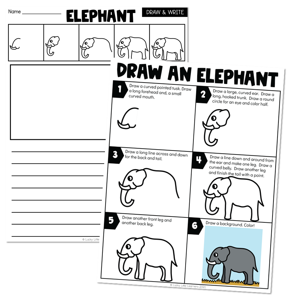 Must-Do Events for the 2nd Grade School Year - Lucky Little Learners