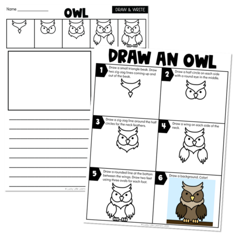 Must-Do Events for the 2nd Grade School Year - Lucky Little Learners