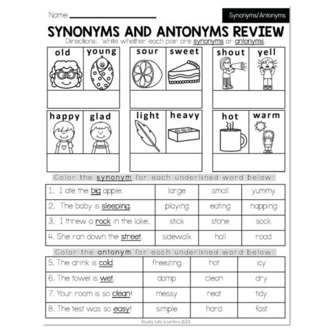 Keep Your Speedy Students Learning With Early Finisher Packets - Lucky ...