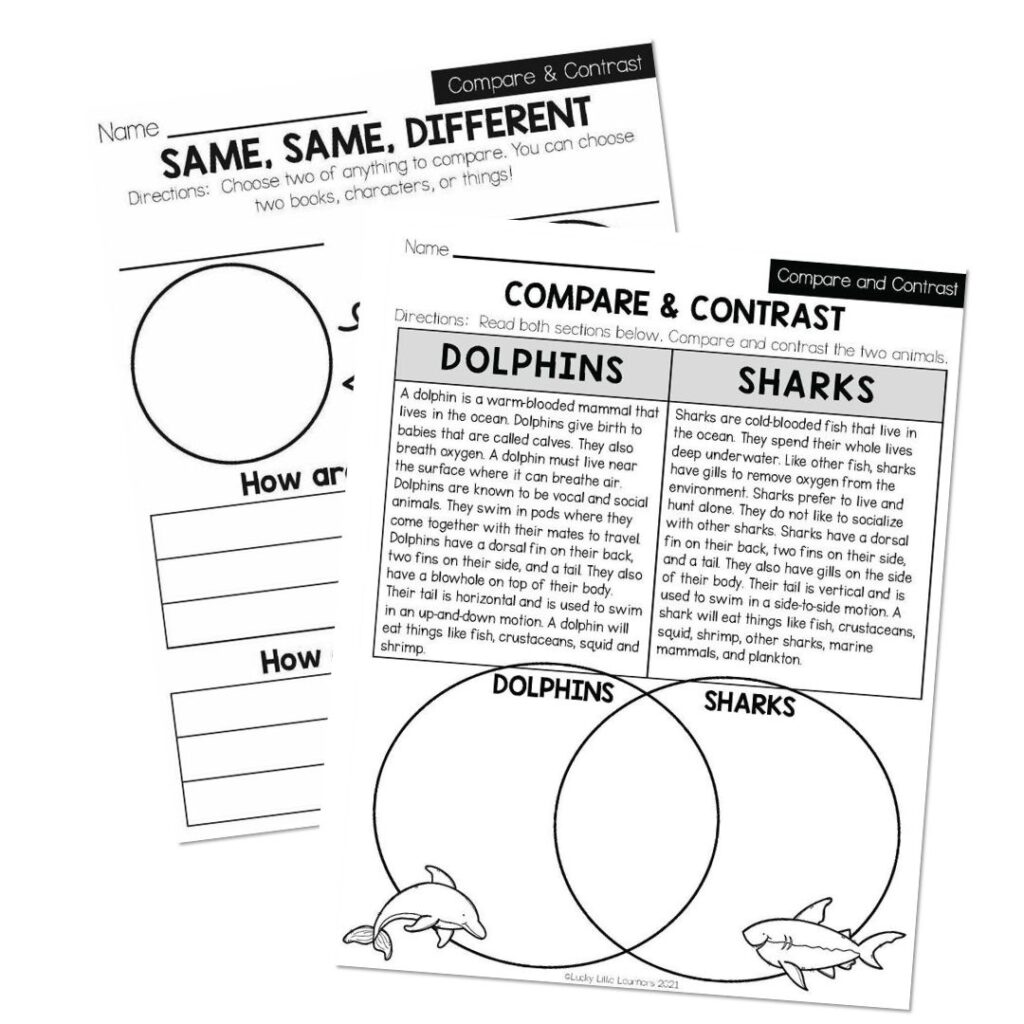 Keep Students Learning With Summer Review Packets! - Lucky Little Learners