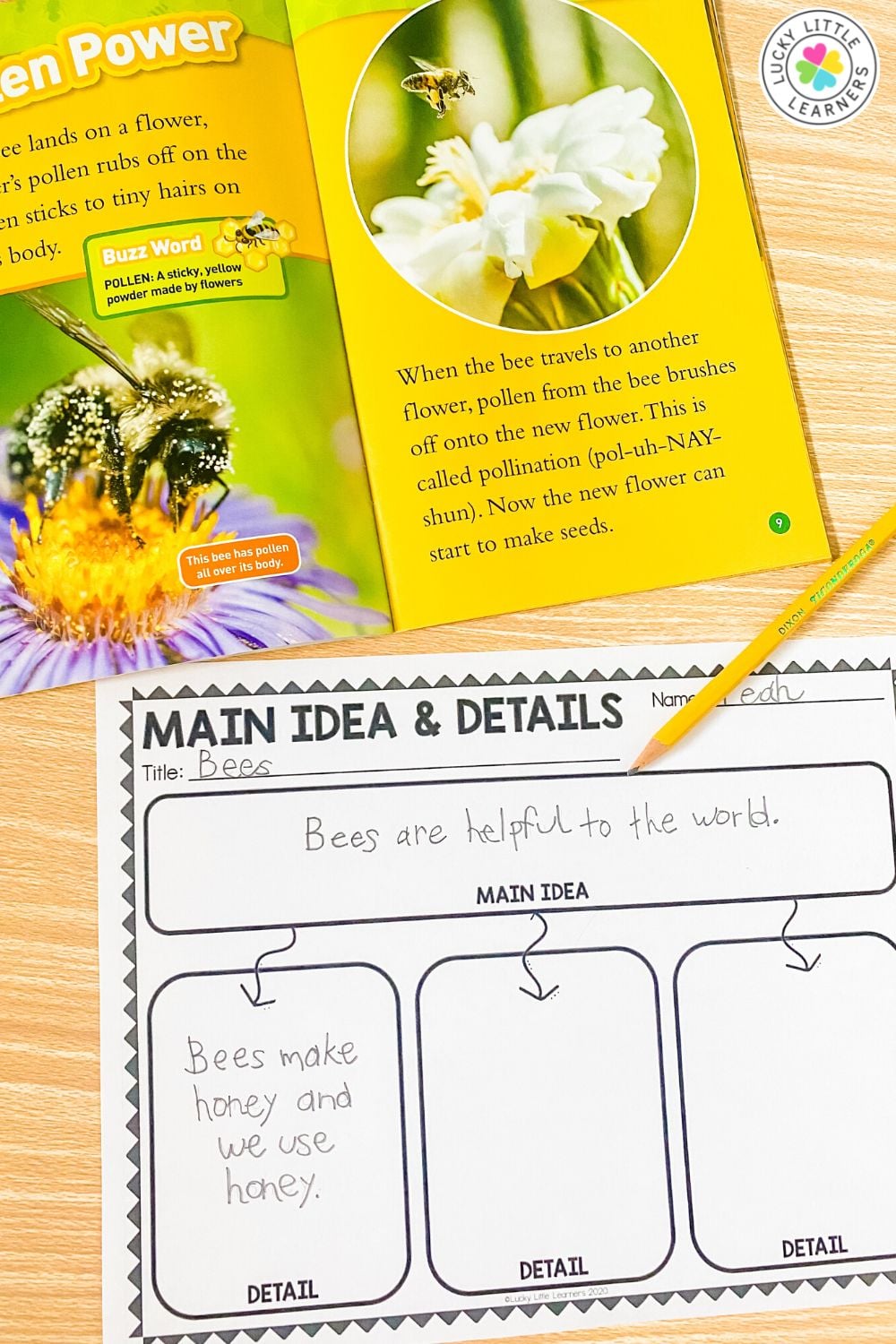 Graphic Organizers to Support Students With Reading Comprehension ...