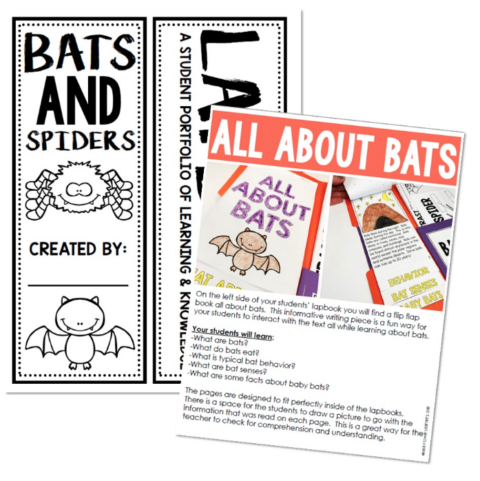 An Easy Way to Introduce Informational Writing in 2nd Grade - Lucky ...