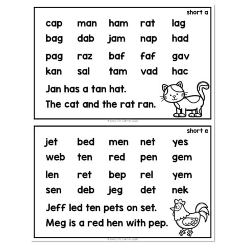 Hands On Literacy Intervention Activities - Lucky Little Learners