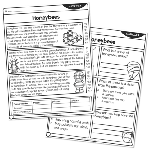 How to Use the 5 Ws to Get to the Main Idea - Lucky Little Learners