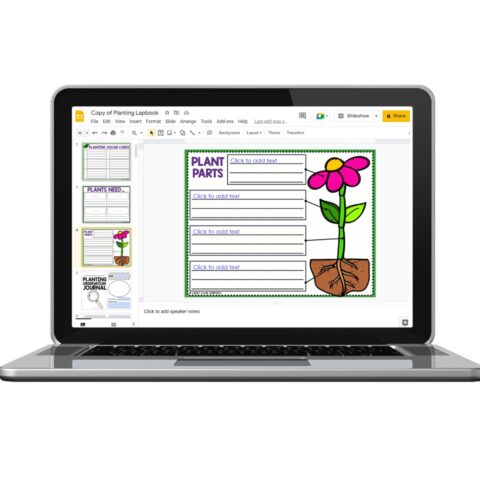 Springtime Read Alouds and Activities - Lucky Little Learners