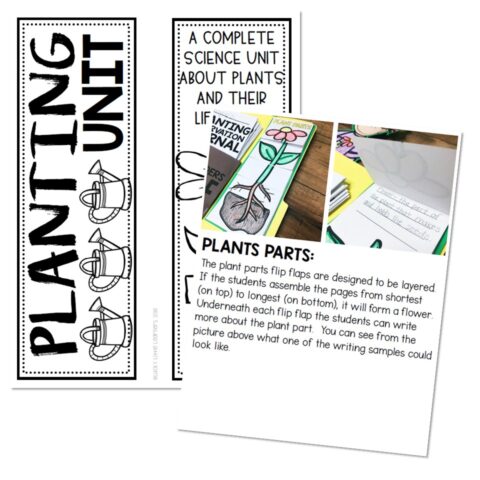 Springtime Read Alouds and Activities - Lucky Little Learners