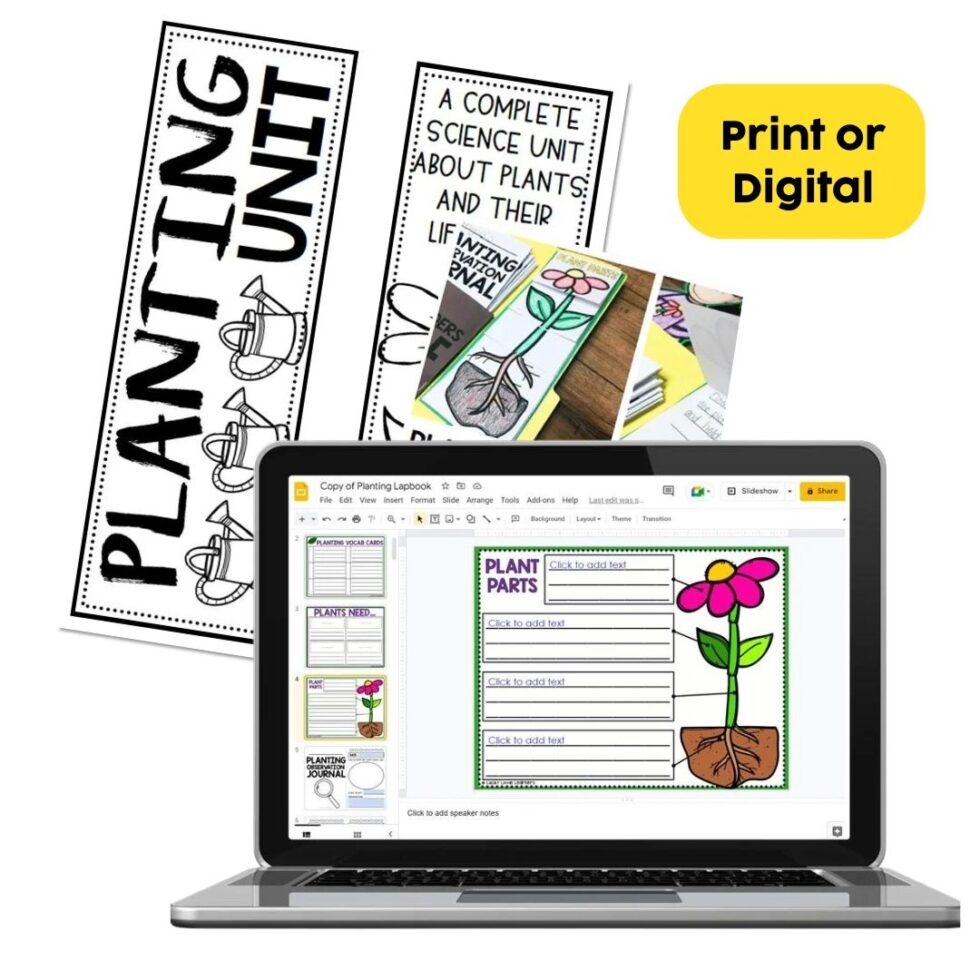 Transform Your Classroom for Earth Day! - Lucky Little Learners