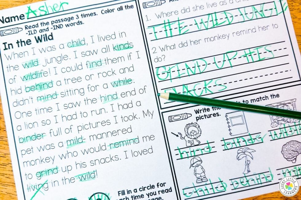 How to Teach an Explicit Phonics Lesson - Lucky Little Learners