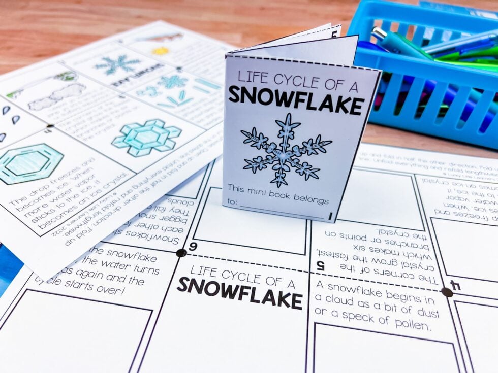 Celebrate Winter With a Snow Globe Classroom Transformation - Lucky ...