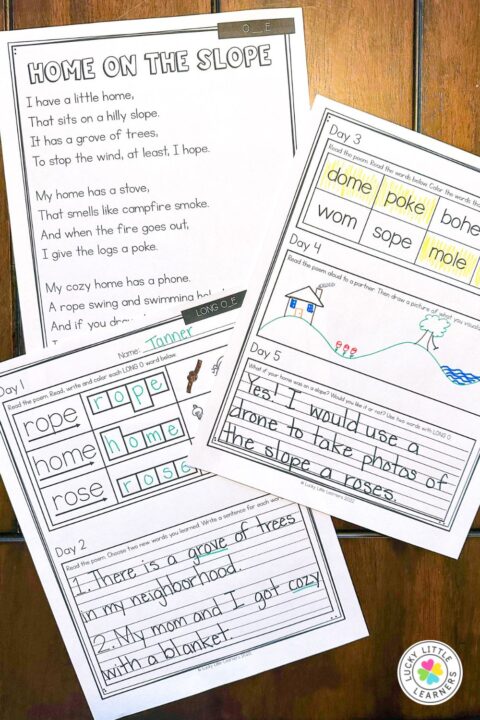 Teaching Long Vowels - Lucky Little Learners