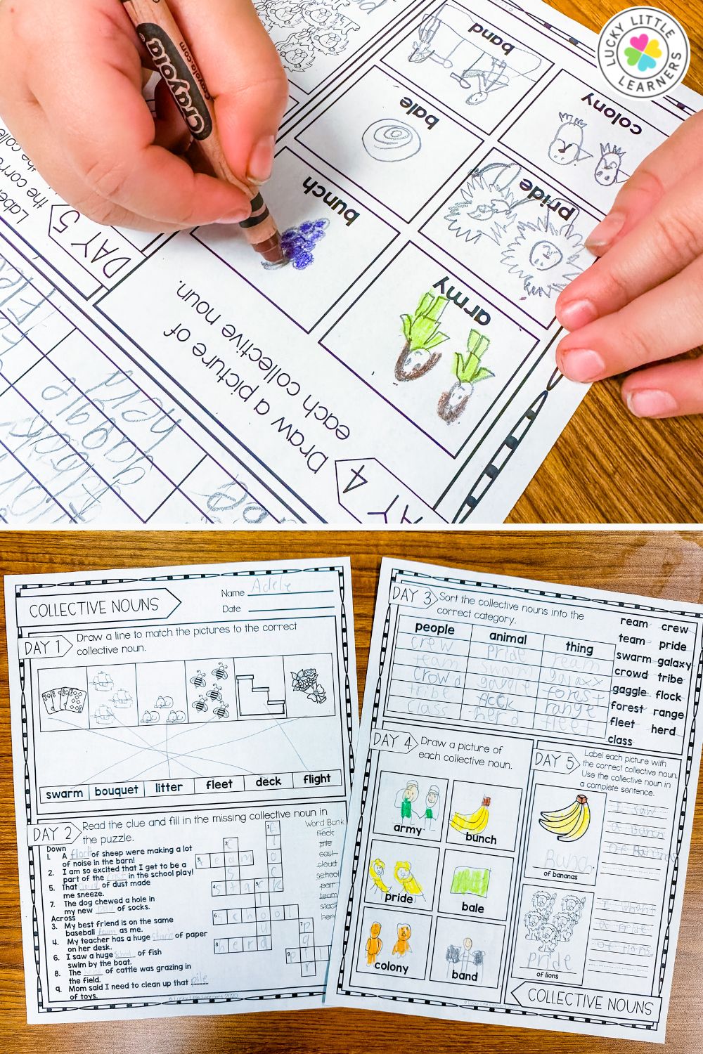 Let's Teach Kids About Nouns! - Lucky Little Learners