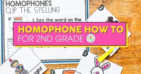 Homophone How-To for 2nd Grade - Lucky Little Learners