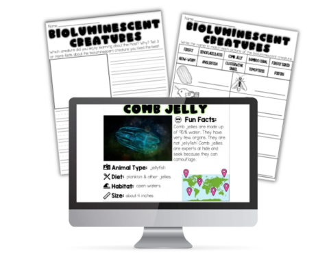 Glow Day Classroom Transformation - Lucky Little Learners