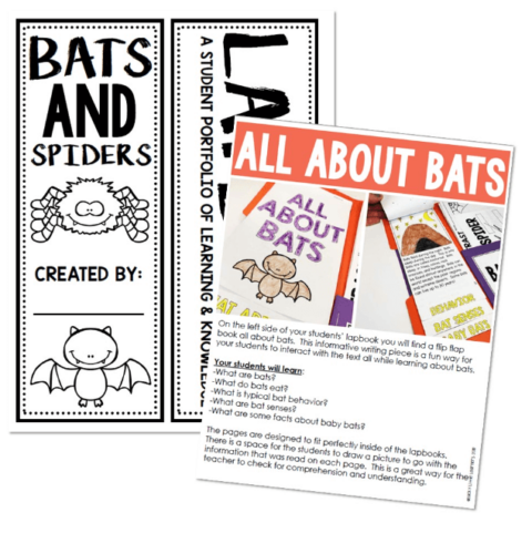 An Easy Way to Introduce Informational Writing in 2nd Grade - Lucky ...