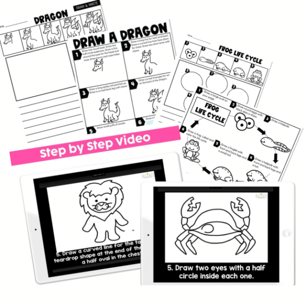 Must-Do Events for the 2nd Grade School Year - Lucky Little Learners