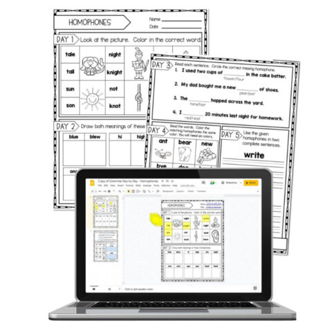 Homophone How-To for 2nd Grade - Lucky Little Learners