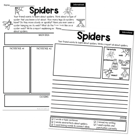 15 Fun Literacy Activities For 2nd Grade - Lucky Little Learners