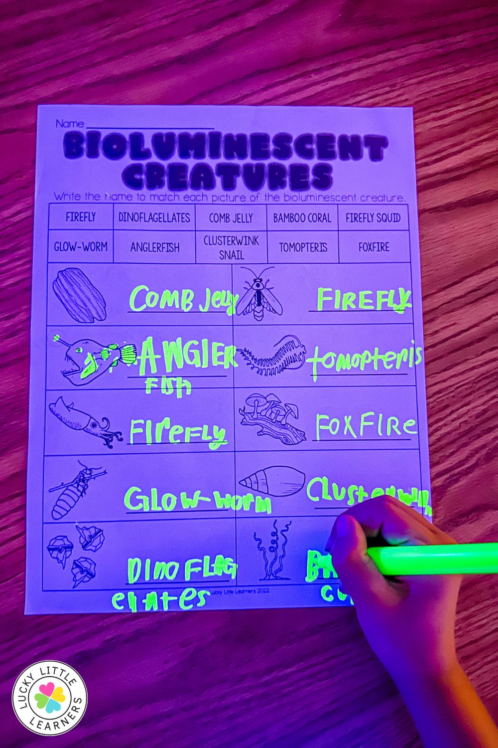 Glow Day Classroom Transformation - Lucky Little Learners