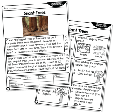 Graphic Organizers to Support Students With Reading Comprehension ...