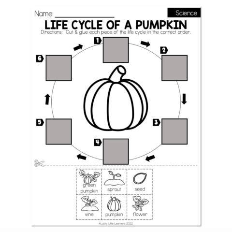 Lucky Little Party Plan: Classroom Halloween Party - Lucky Little Learners