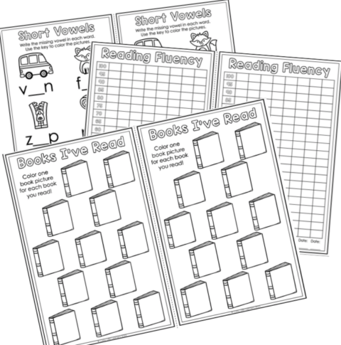 Student Data Tracking Booklets for Math & Literacy - Lucky Little Learners
