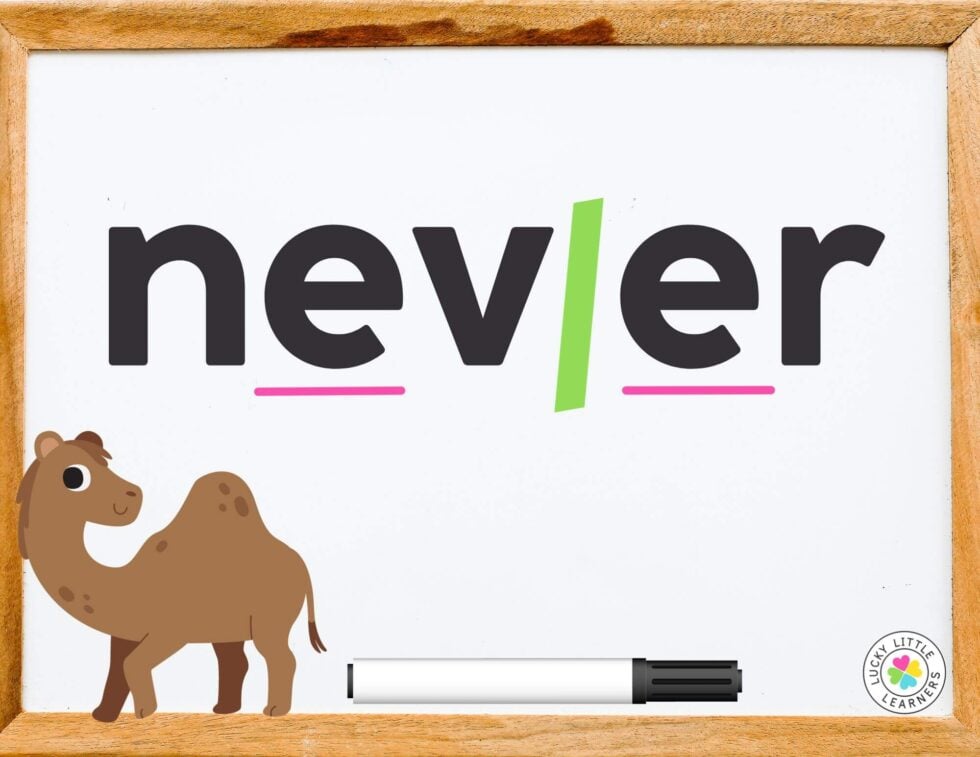 9 Principles for Syllable Division - Lucky Little Learners