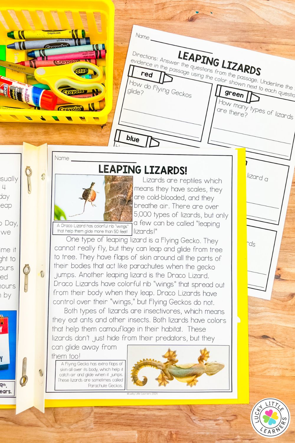 Celebrate the Extra Day: Leap Year Classroom Activities - Lucky Little ...