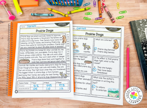 Decoding Multisyllabic Words in 2nd Grade Text - Lucky Little Learners