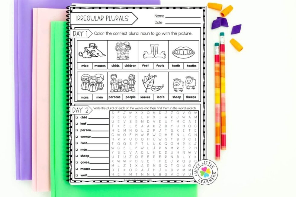 5 Resources for Teaching Irregular Plural Nouns & Irregular Verbs ...